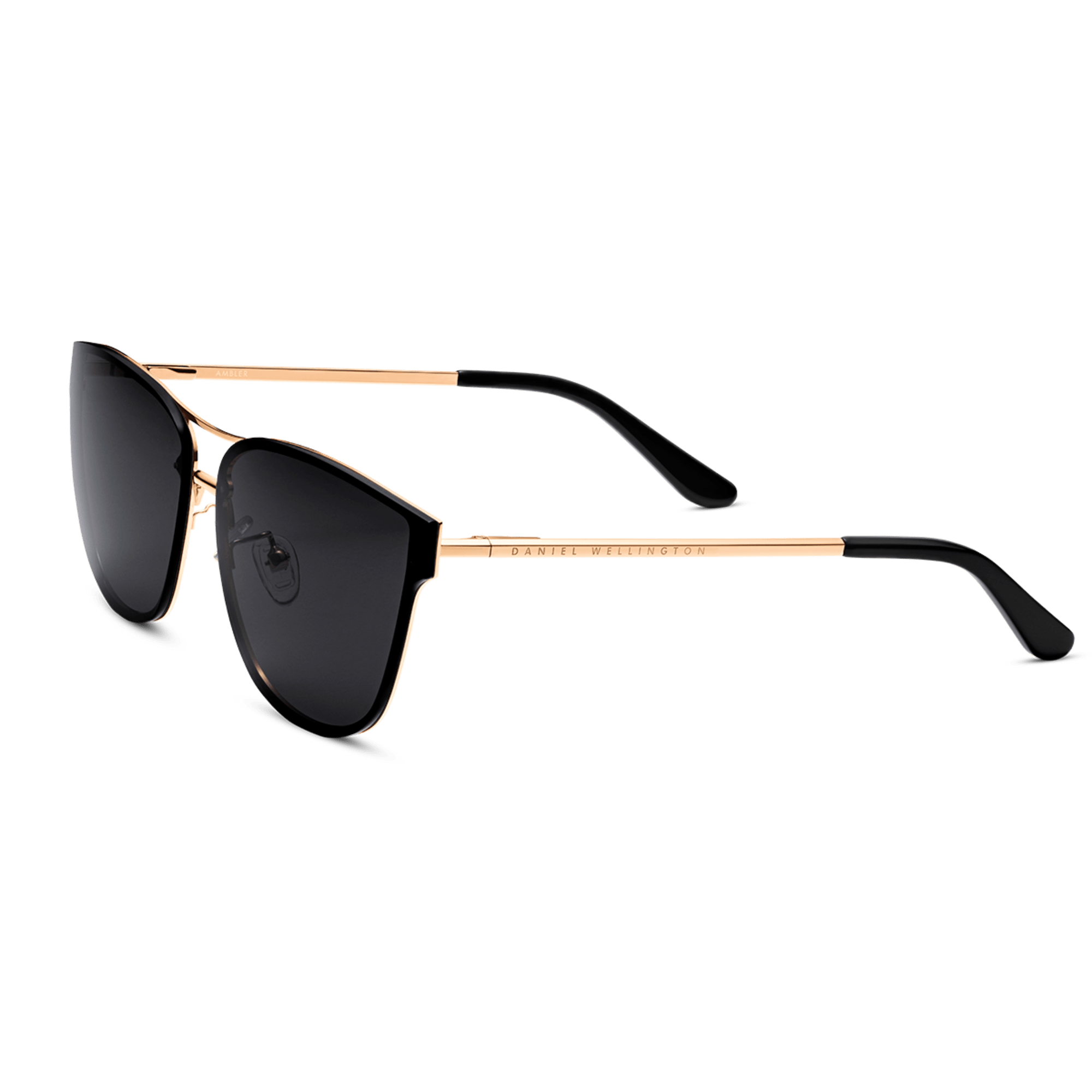 Steel Ambler - Womens Sunglasses - Black | DW